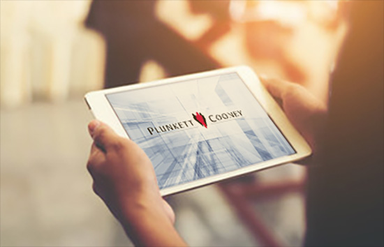 Peter Cronk, Banking, Bankruptcy Creditors' Rights, Commercial ...